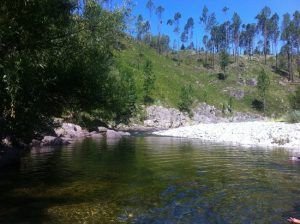 Descubre todo sobre el Tabaquillo