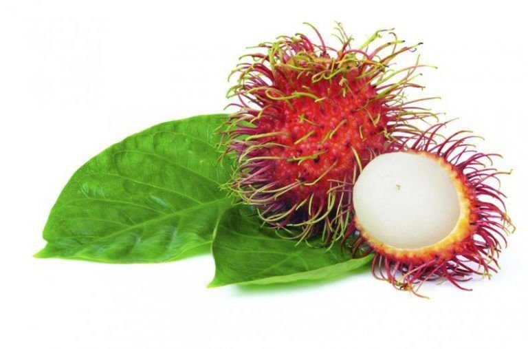 Rambutan: caracteristicas, propiedades, beneficios, usos, y más
