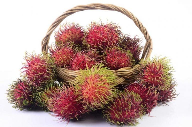 Rambutan: caracteristicas, propiedades, beneficios, usos, y más