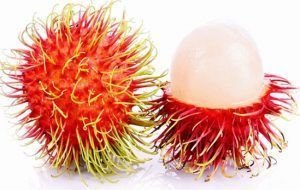 Rambutan: caracteristicas, propiedades, beneficios, usos, y más