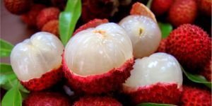 Rambutan: caracteristicas, propiedades, beneficios, usos, y más