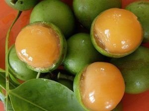 Conoce la HUAYA: Propiedades, usos, beneficios, y más