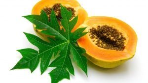 PAPAYO: propiedades, frutos, vitaminas y mucho más.
