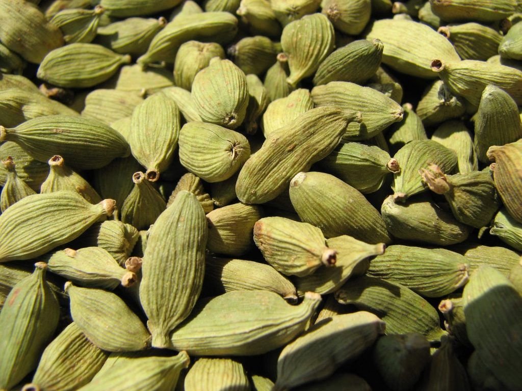 CARDAMOMO: Historia, nombre cienrífico, significado y mucho más