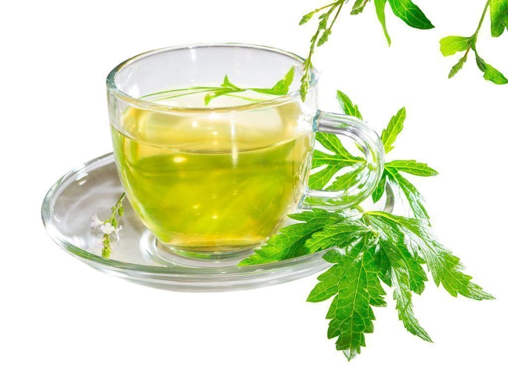 CEDRÓN: ¿Qué es? origen, taxonomía, descripción y mucho más