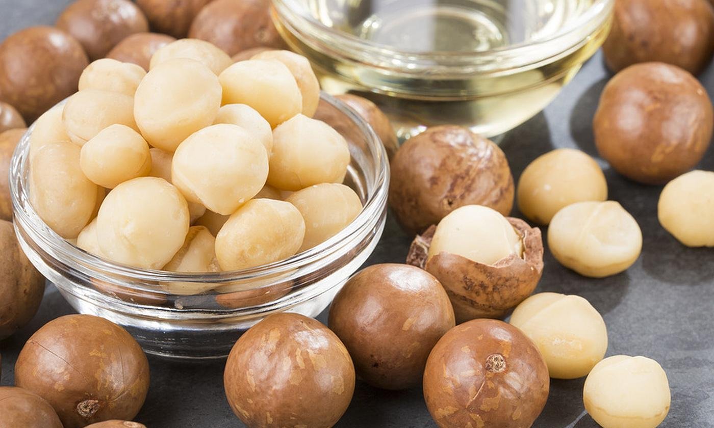NUEZ DE MACADAMIA: origen, propiedades, beneficios y mucho más