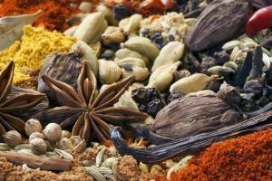 ANÍS: ¿Qué es? Origen, características, beneficios y mucho más