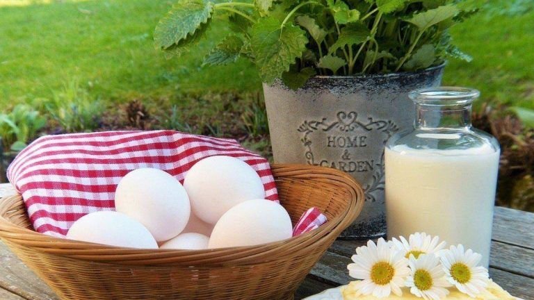 EL PALMITO: origen, características, propiedades, vitaminas y mucho más