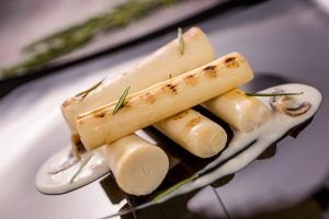 EL PALMITO: origen, características, propiedades, vitaminas y mucho más