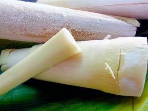 EL PALMITO: origen, características, propiedades, vitaminas y mucho más