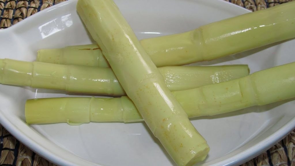 EL PALMITO: origen, características, propiedades, vitaminas y mucho más