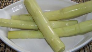 EL PALMITO: origen, características, propiedades, vitaminas y mucho más