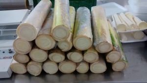 EL PALMITO: origen, características, propiedades, vitaminas y mucho más