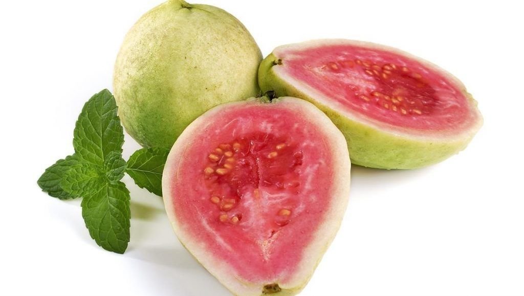 Guayaba: origen, características, propiedades, taxonomía, calorías y más