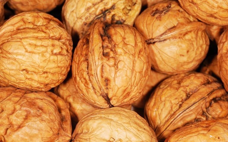 NOGAL: origen, características, propiedades, usos, variedades y más